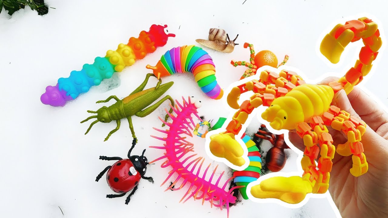 Learn Bugs Names & Facts in the Snow | Festive Fun for Kids: Slug ...