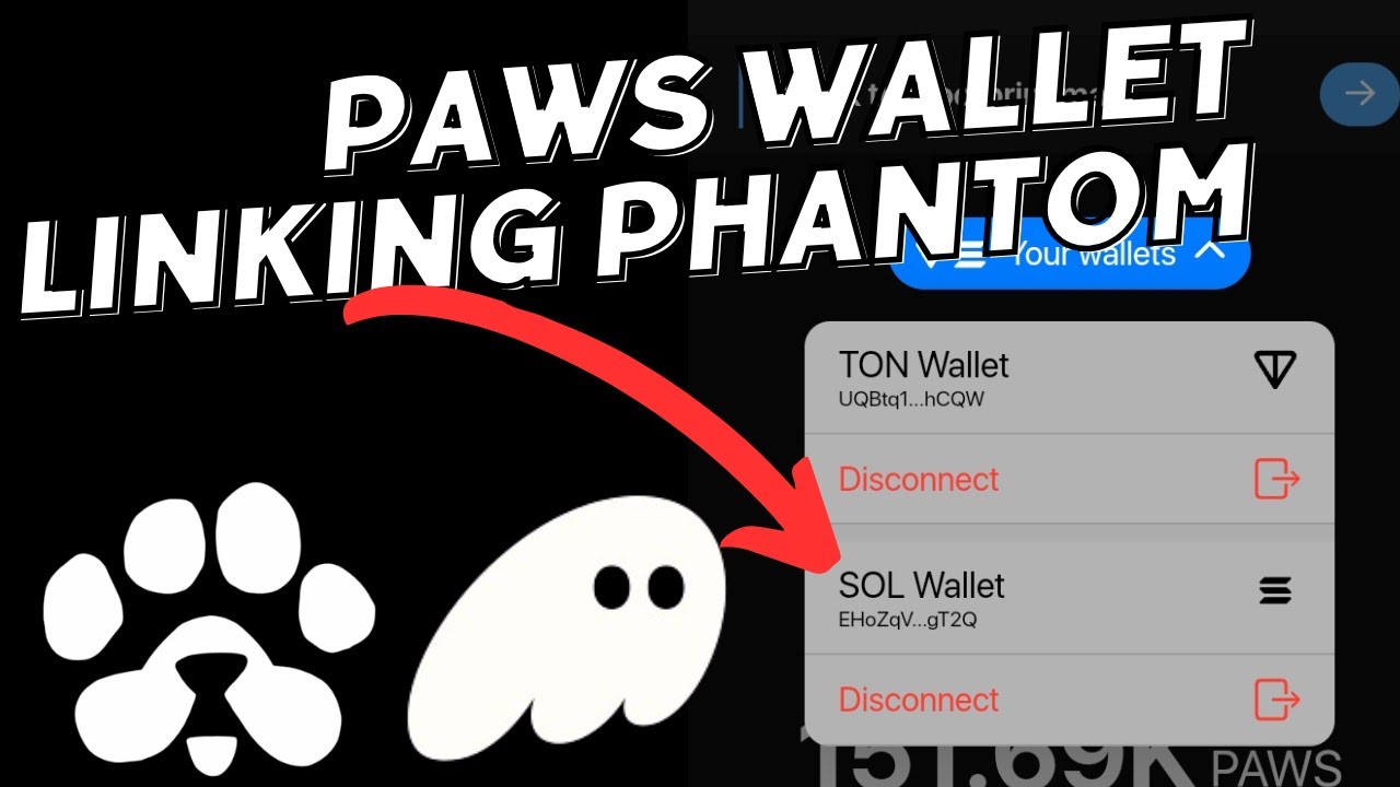 How To Connect Paws Airdrop To Phantom Wallet - YouTube