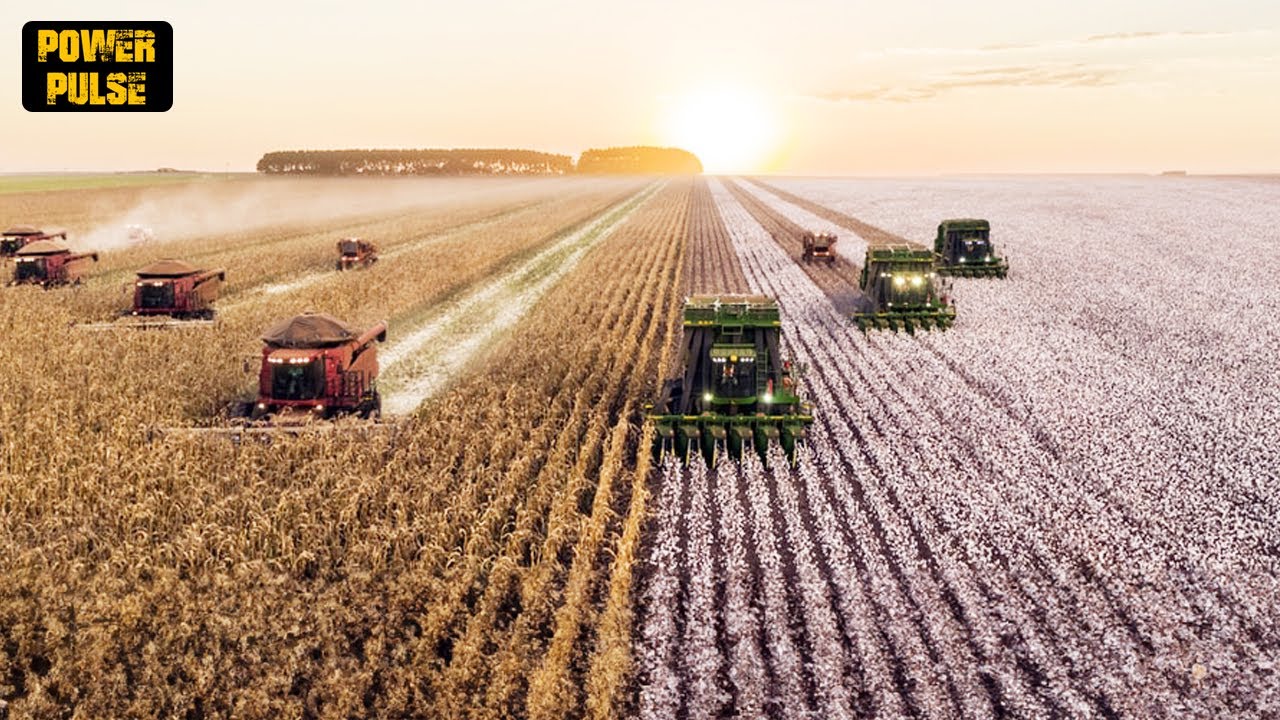 15 Most Amazing And Unique Farms You Won't Believe Exist - YouTube