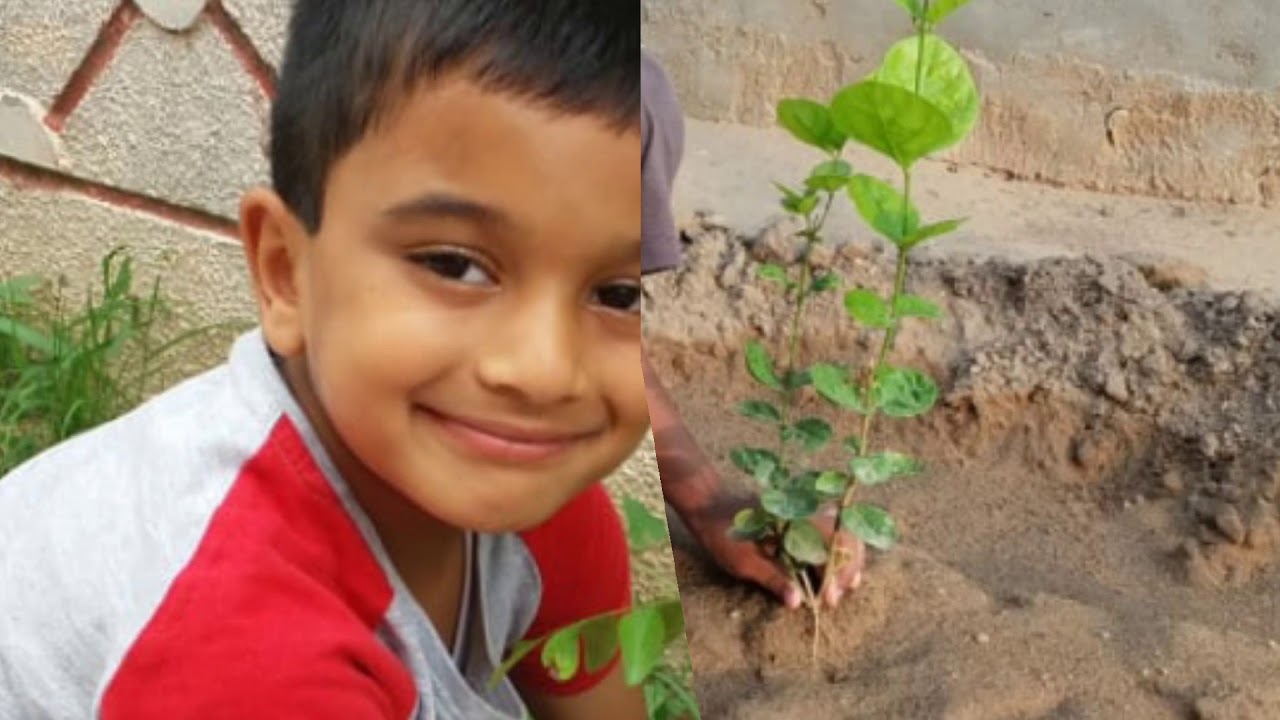 Save Water , Save Trees-2020 -Std: 2nd - YouTube