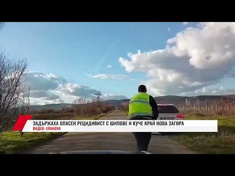 ЗАДЪРЖАХА ОПАСЕН РЕЦИДИВИСТ С ШИПОВЕ И КУЧЕ КРАЙ НОВА ЗАГОРА