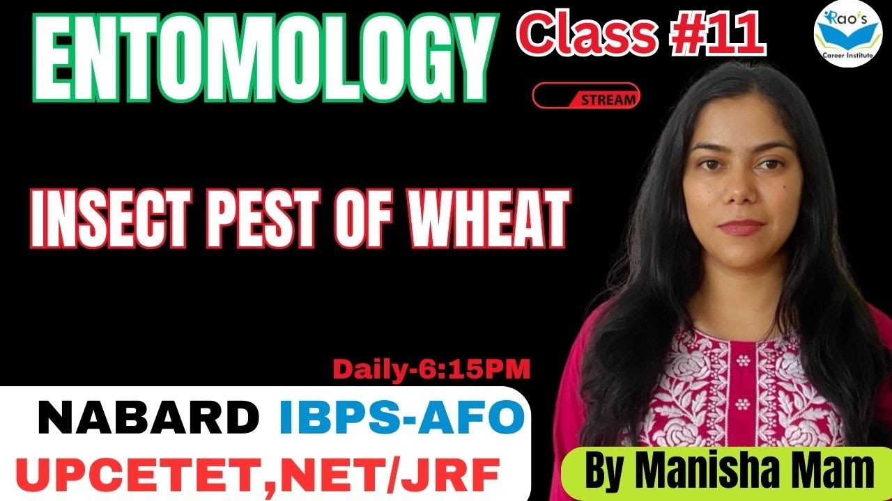 INSECT PEST OF WHEAT || NABARD || IBPS-AFO || NET,JRF || FCI || AAO ...