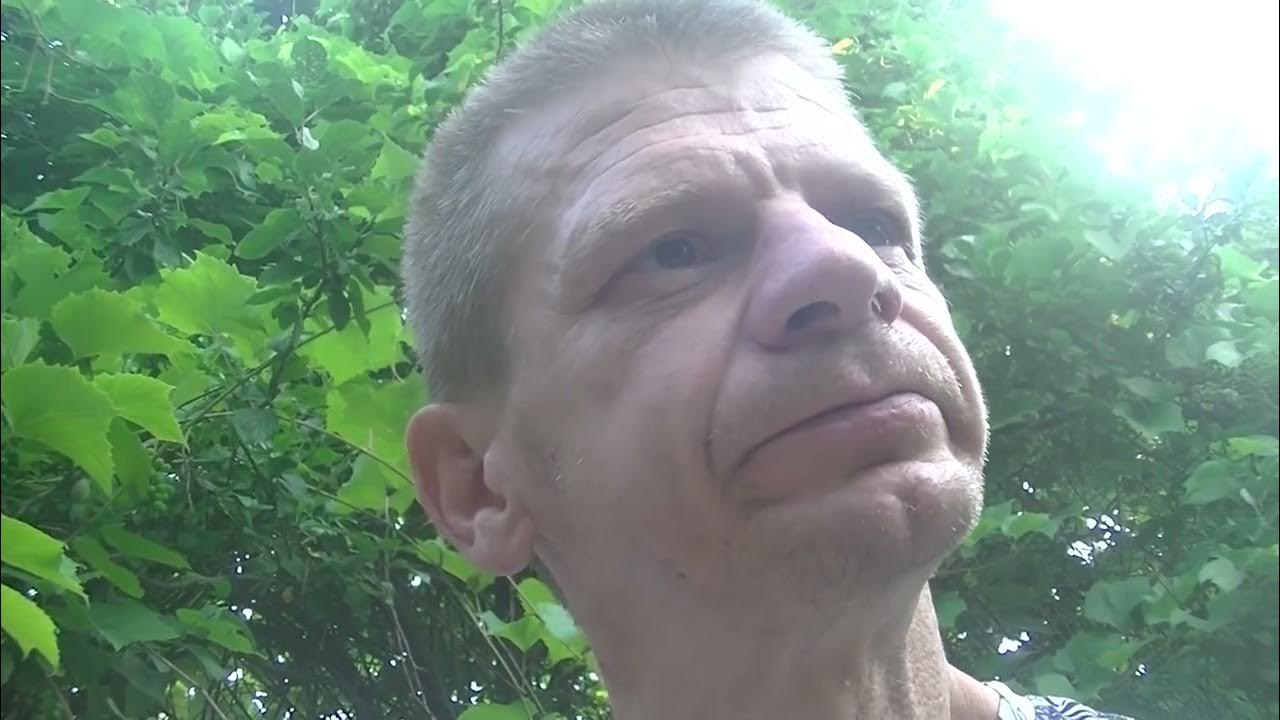 DZEDOBRY WAM POWIEM #kononowicz #major #suchodolski #szkolna17 #us17 #knur - YouTube