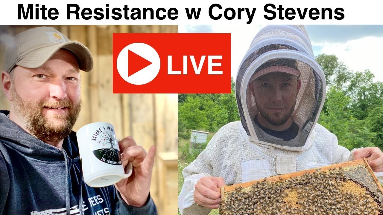 VSH Bees & Mite Resistance w Cory Stevens - YouTube