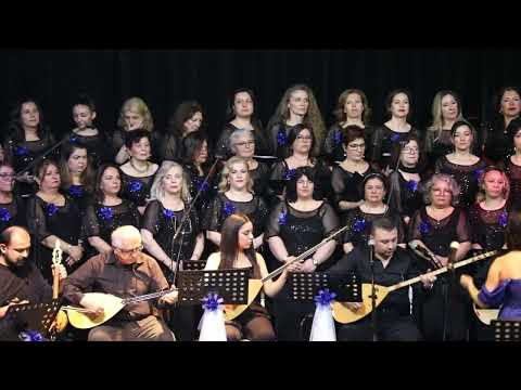 8 Mart Dünya Kadınlar Günü \