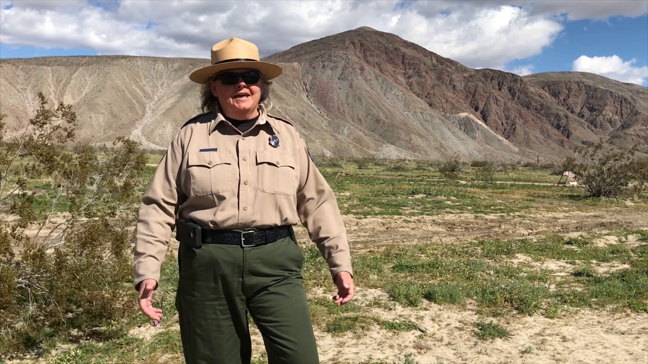 Wildflower 2019: Safety Tips with Gina Moran - YouTube