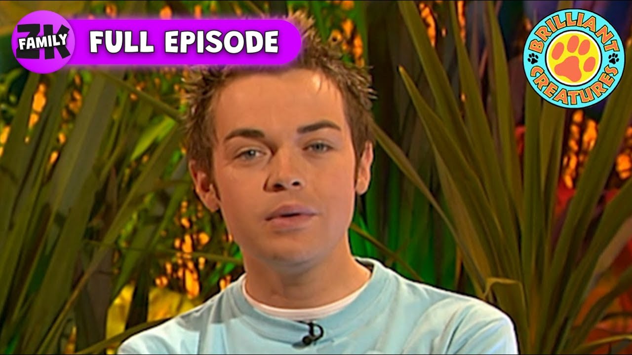 Brilliant Creatures | Full Episode | Season 6, Episode 1 | ZeeKay ...