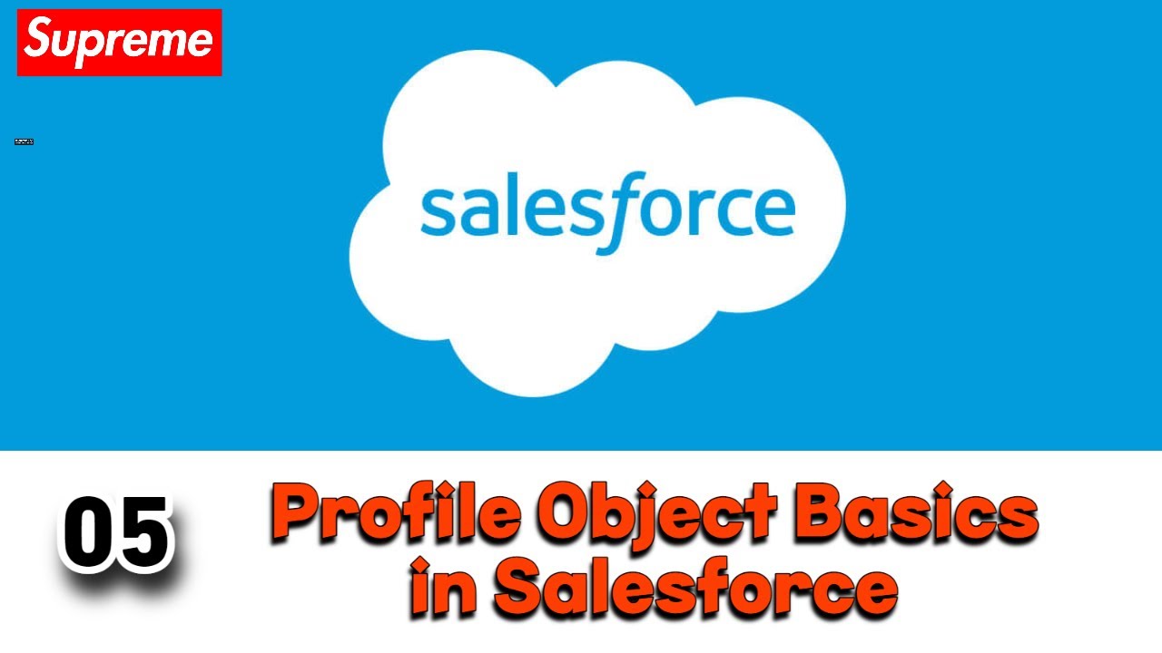 05 Profile Object Basics in Salesforce #salesforce #technology - YouTube