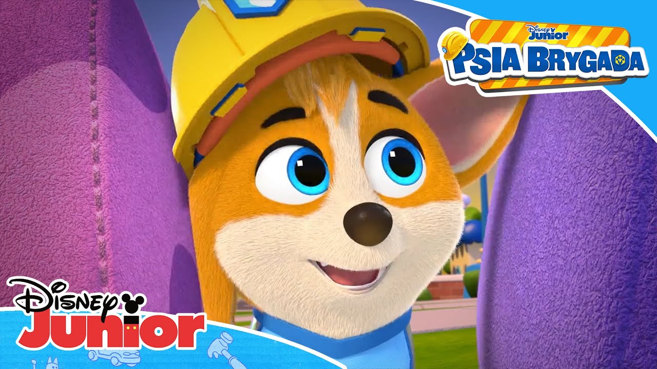 🐾 Cicho sza pieski | Psia Brygada | Disney Junior Polska - YouTube