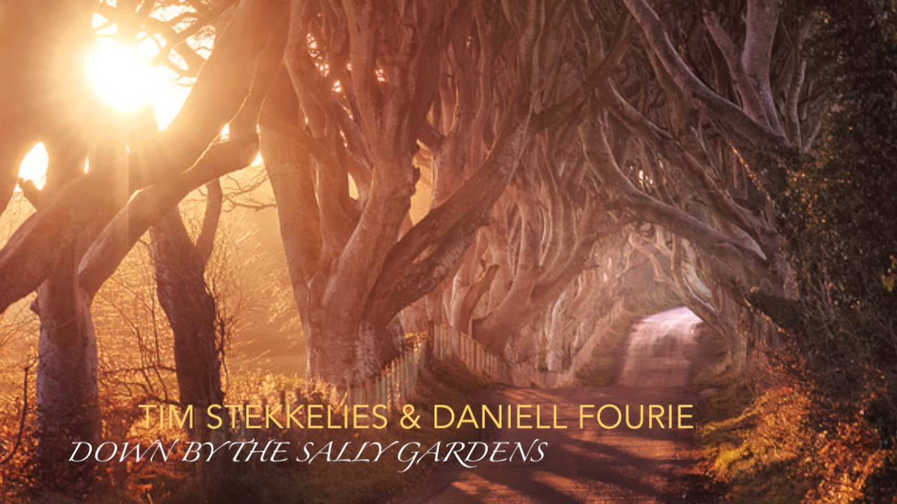 Tim Stekkelies & Daniell Fourie "Down by the Sally Gardens" - YouTube