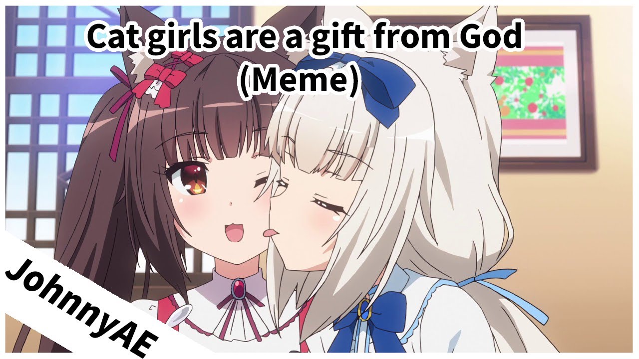 Cat girls are a gift from God (Meme) - YouTube