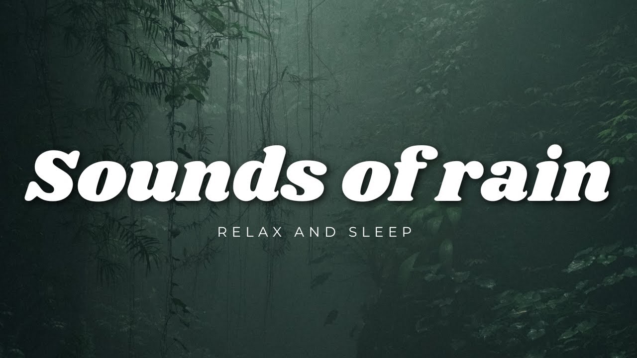Soothing Rain Sounds for Relaxation and Sleep | 1 Hour of Calming ...
