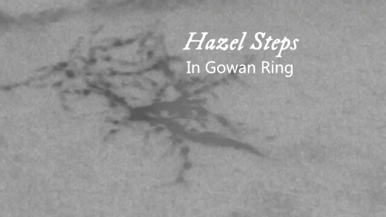 "Hazel Steps" from 'Hazel Steps through a Weathered Home' by IN GOWAN ...