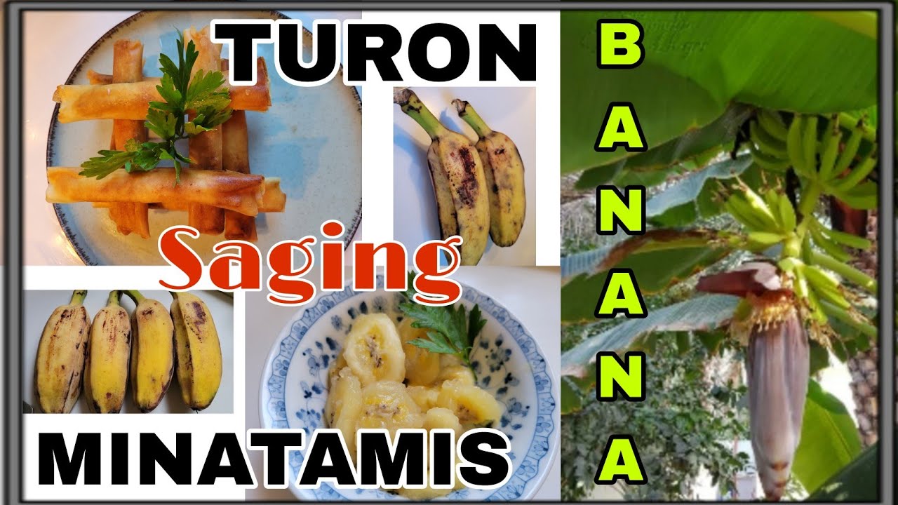 All About Banana/Saging|| Turon at Minatamis na Saging(Tagalog) - YouTube