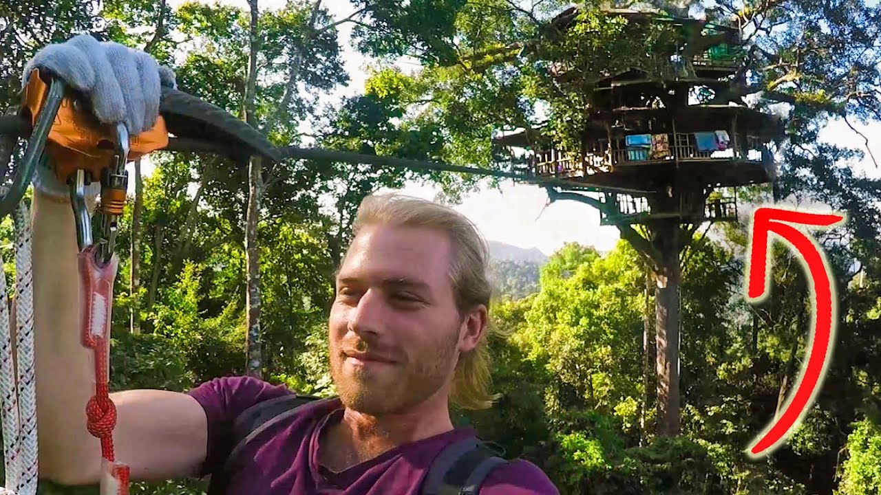 THE BEST Thing to Do in LAOS - Gibbon Experience, World's Highest Tree ...