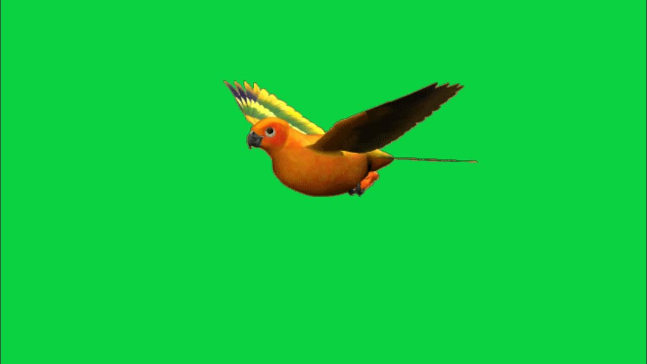 flying bird animated UHD green screen video for youtubers. - YouTube