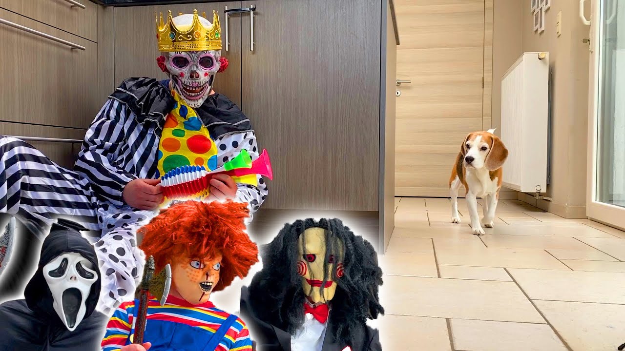 Funny BEAGLES Get Pranked with Scary Halloween Costumes 4 - YouTube
