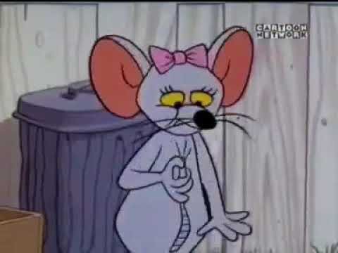 ᴴᴰ Tom and Jerry, Episode 137 - The Brothers Carry Mouse Off [1965] - P3/3 | TAJC | Duge Mite