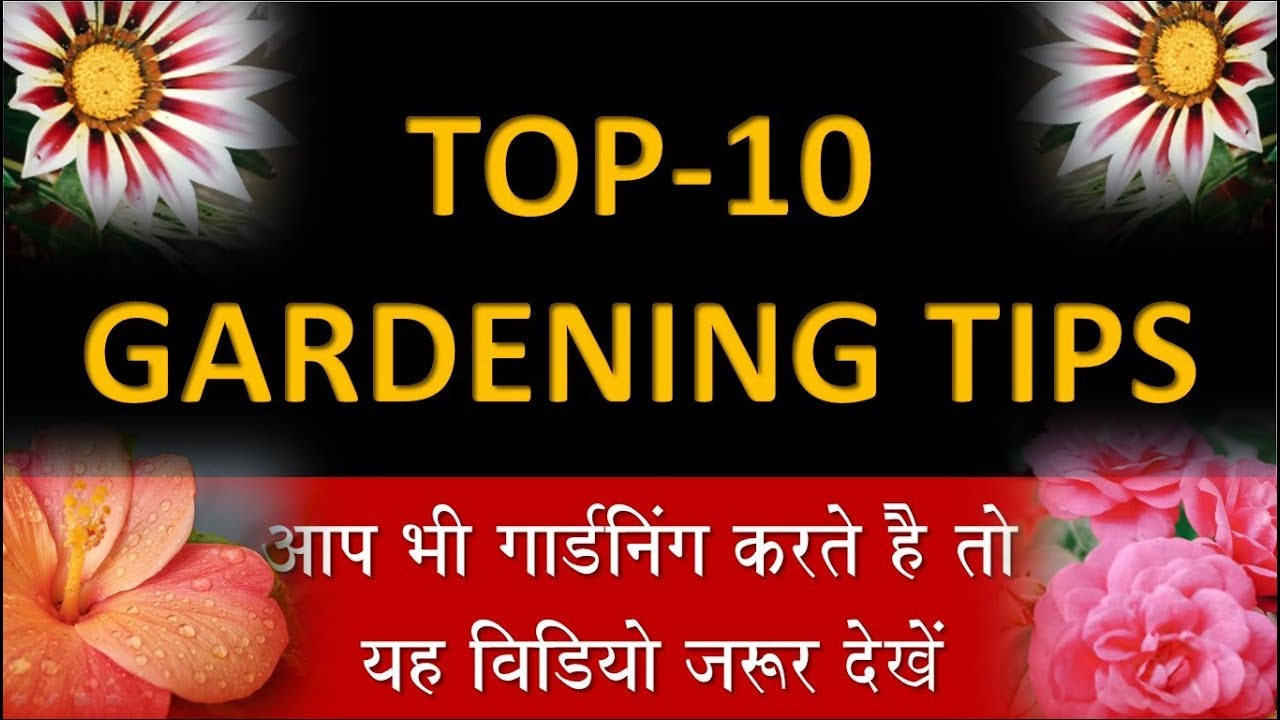 Top 10 gardening tips - YouTube