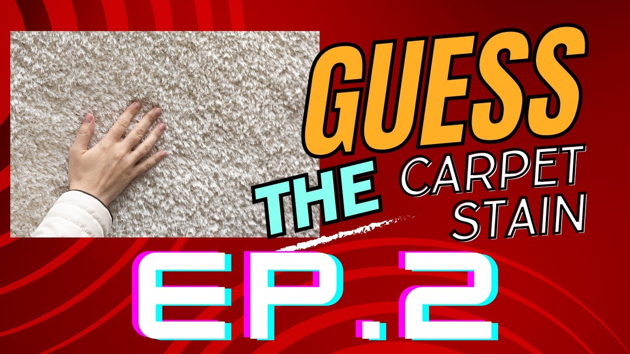 Guess the Carpet Stain! Quiz Show: Ep. 2 - Pro-X Carpet Cleaning - YouTube