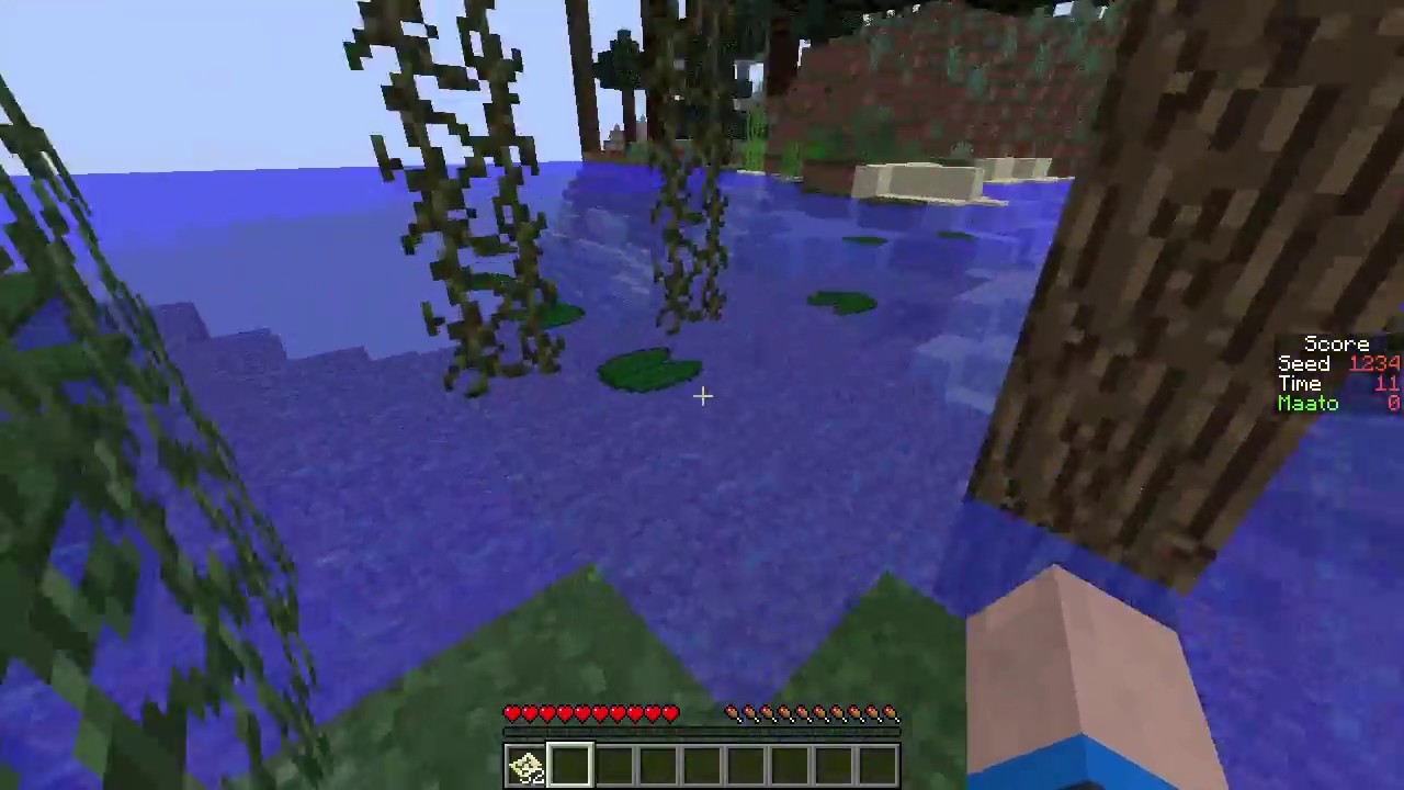 Minecraft BINGO - Weekly Challenge Seed 1234 - 2:24 - YouTube