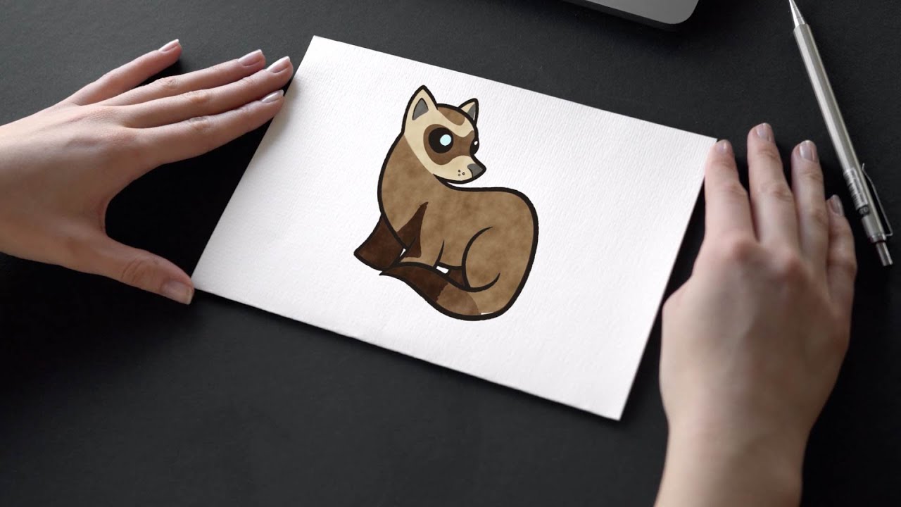 How to Draw a Ferret (easy) need a pencil, felt-tip pens or markers ...