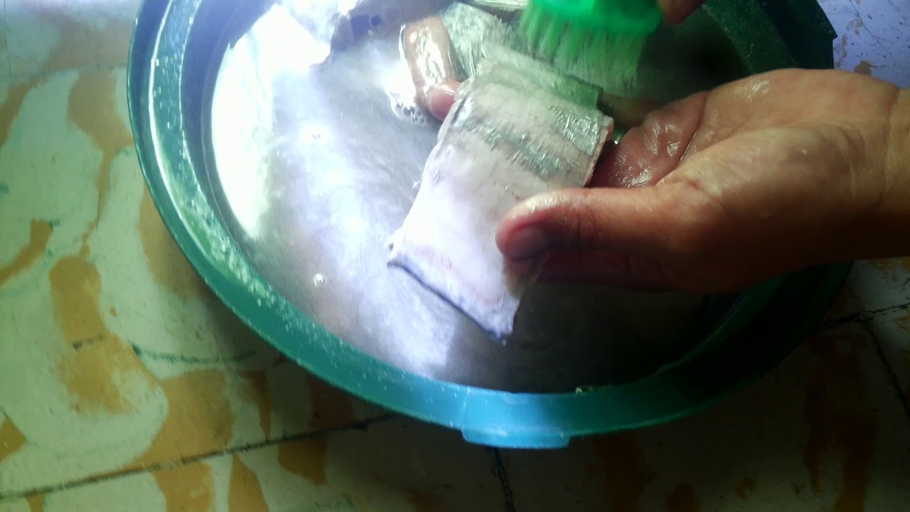 Isdang Espada ngtataglay ng mercury o asoge sa balat nito - YouTube