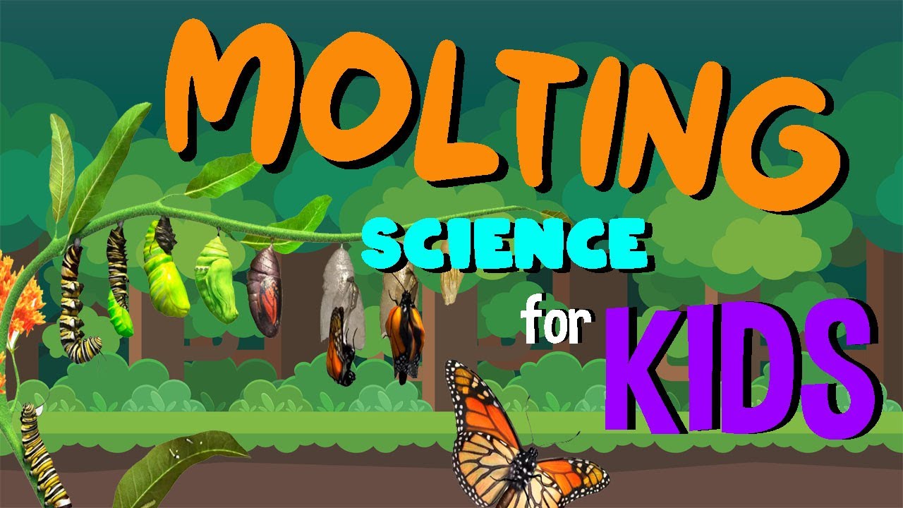 Molting | Science for Kids - YouTube