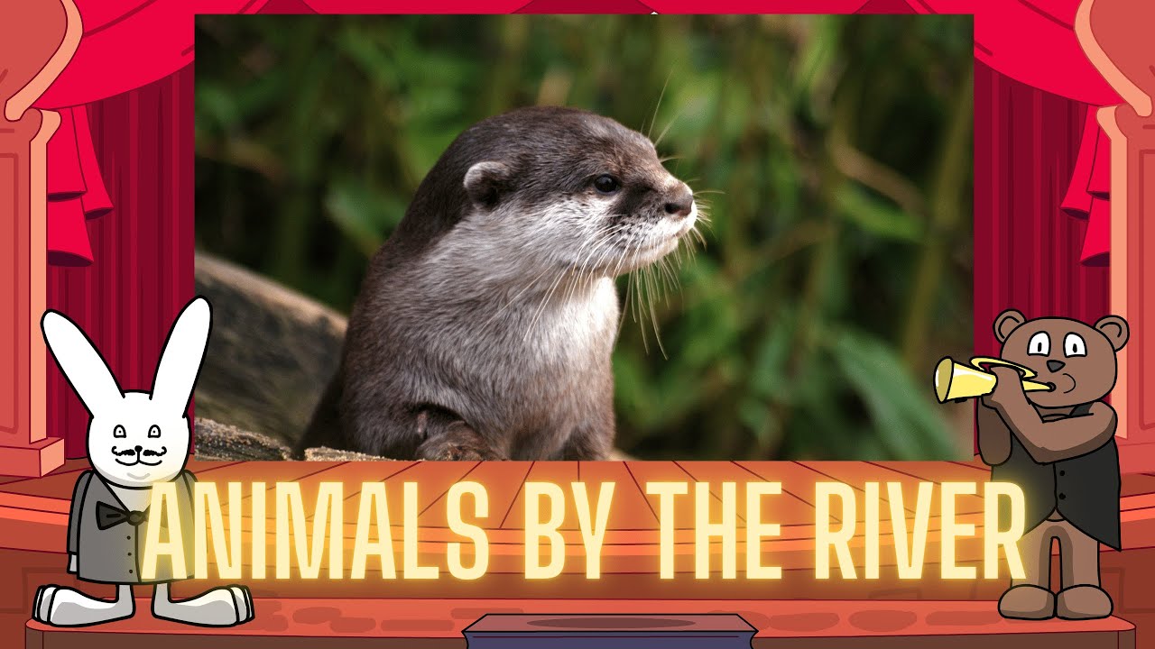 Classical Baby: Animals by the River by Oxbridge Baby - YouTube