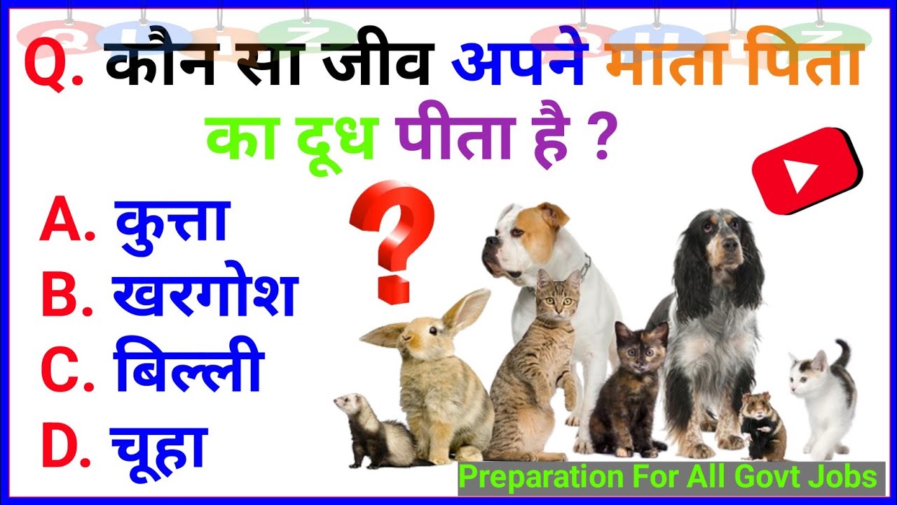Gk Questions And Answers।। Gk Question ।। Gk Hindi।। Daily Gk Questions ...