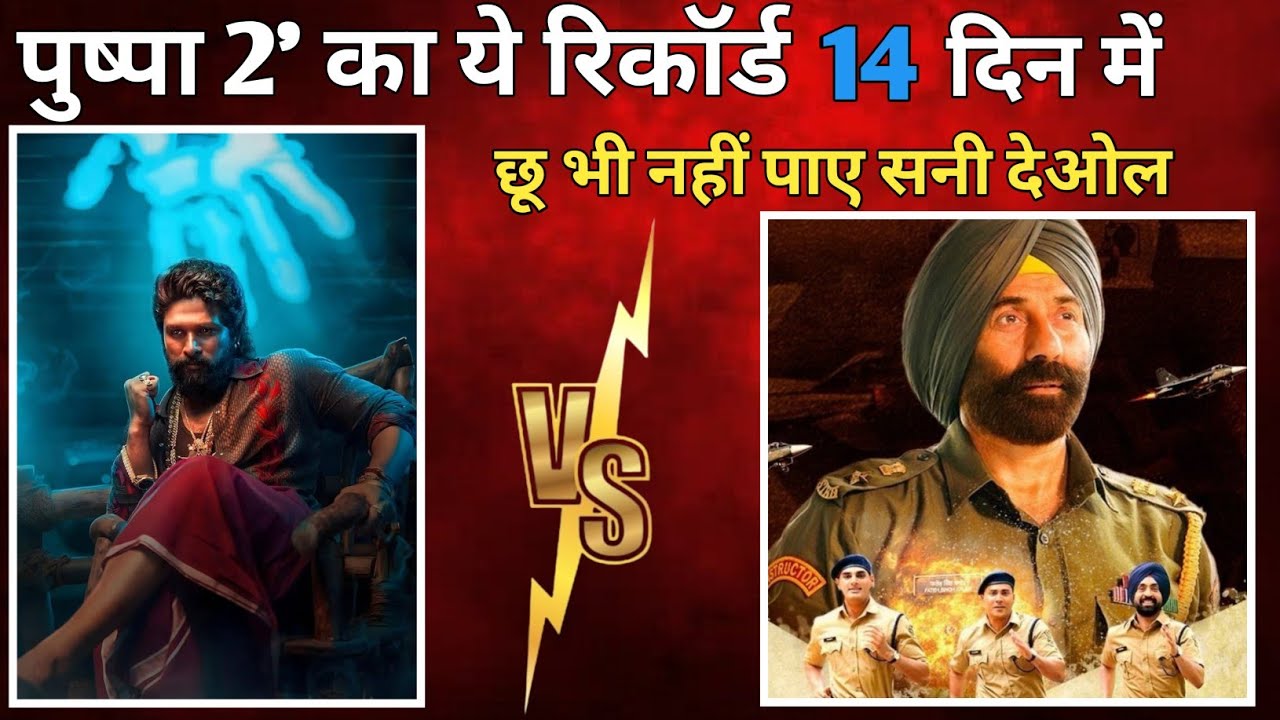Border 2 Collection Day 14 | Prabhas Pushpa 2 vs Border 2 14 Day ...