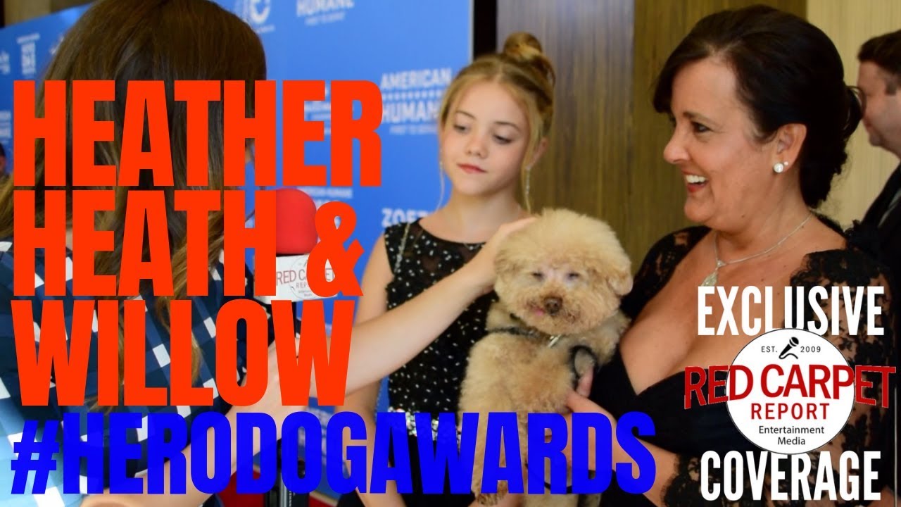 Heather Heath & Willow interviewed at 2018 American Humane Hero Dog ...