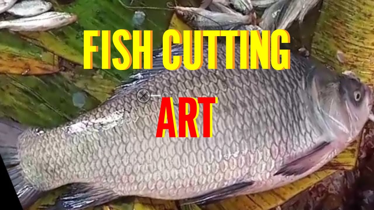 Mastering the Art of Fast Fish Cutting - YouTube