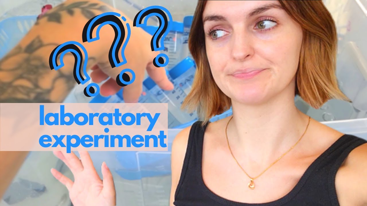 A Day In The Life Of A Scientist Marine Biology Experiments YouTube a-day-in-the-life-of-a-scientist-marine-biology-experiments-youtube