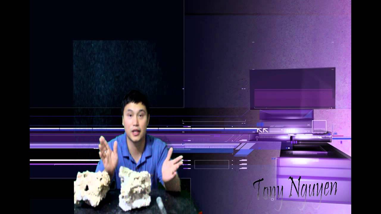- Tony Nguyen Saltwater fish tank reef aquarium MyReefLiving (DIY ...