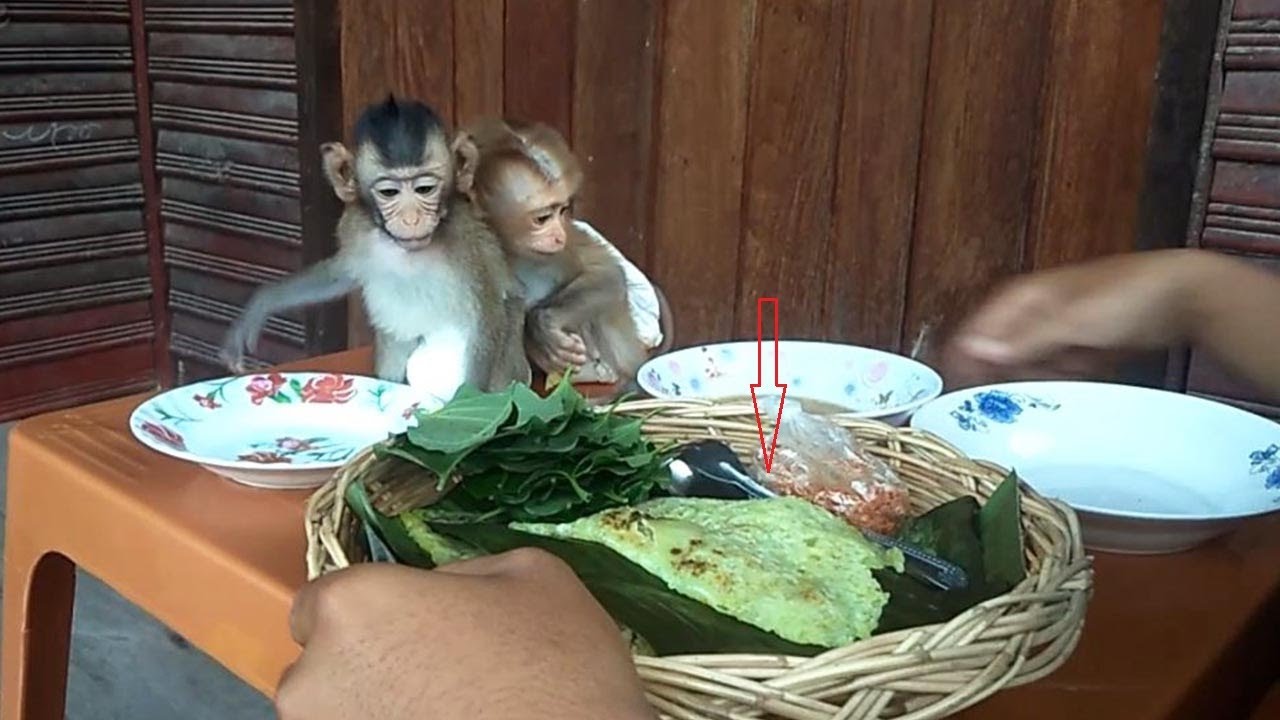 Lee Lee and Poo have dinner with Dad. - YouTube