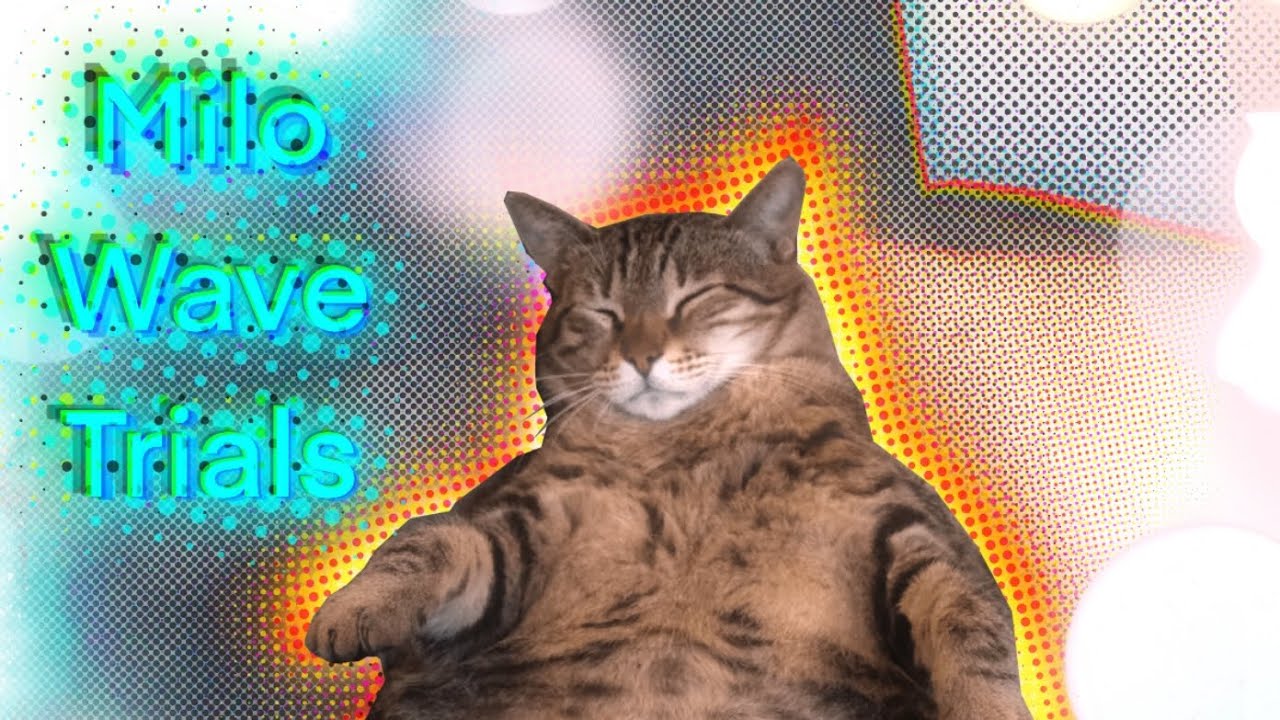 Milo Wave Trials (real frfr) - YouTube