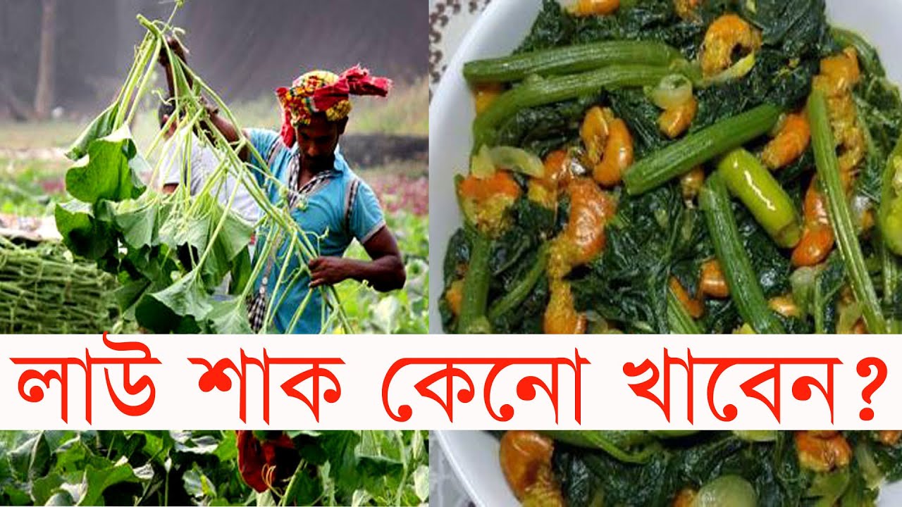 লাউ শাক কেনো খাবেন জানতে ভিডিও টি দেখুন/Watch the video to learn why ...
