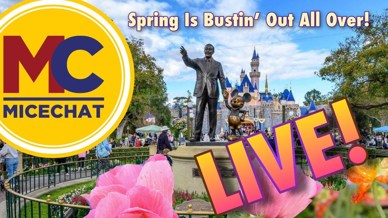 MICECHAT LIVE! Spring Is Bustin' Out All Over! - YouTube