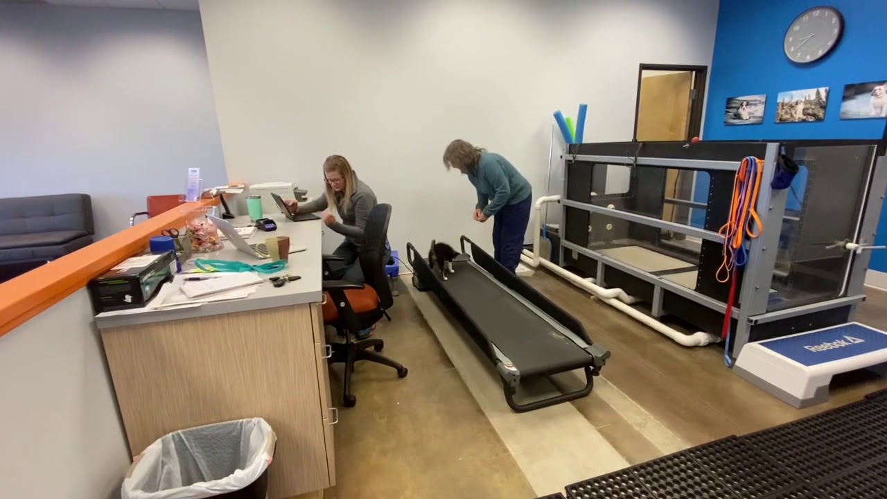 Nova’s first treadmill - YouTube