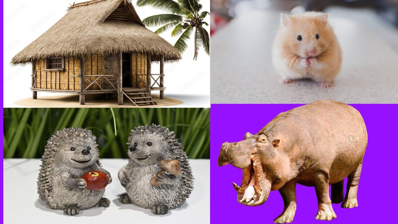 Kids phonic A b c words+kids rhymes .kids alphabet+counting.Alphabatic ...