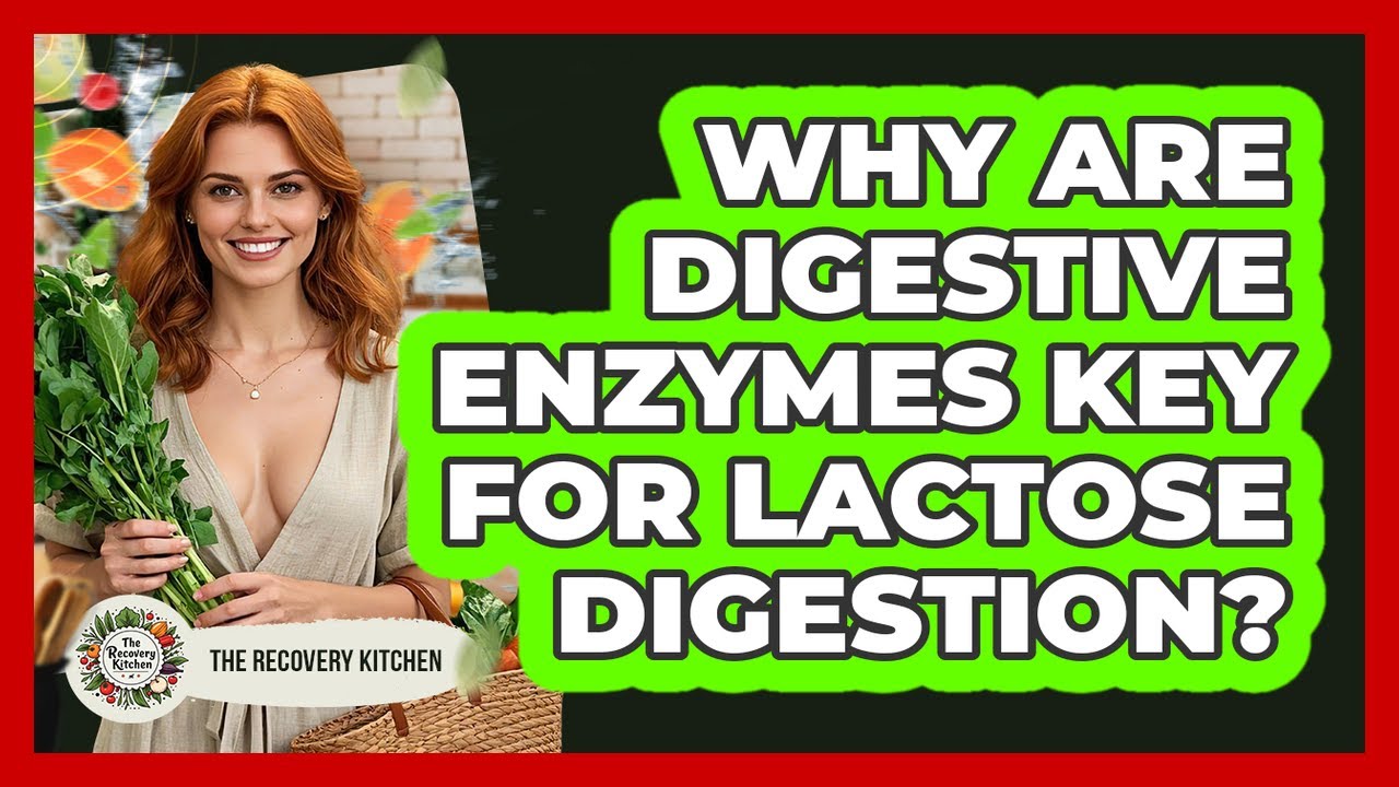 Why Are Digestive Enzymes Key For Lactose Digestion? - The Recovery ...