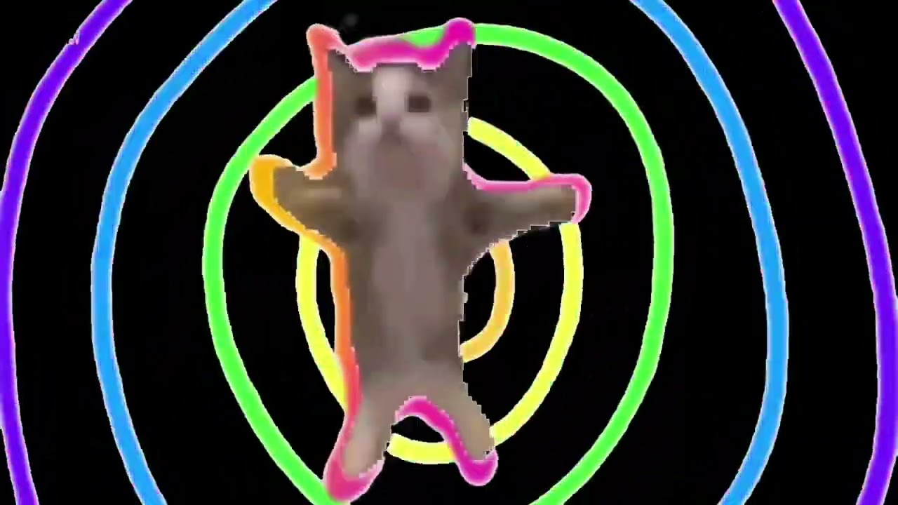 Cat Schnappi Schnappi flexes to the fonk sticky video 1 hour - YouTube