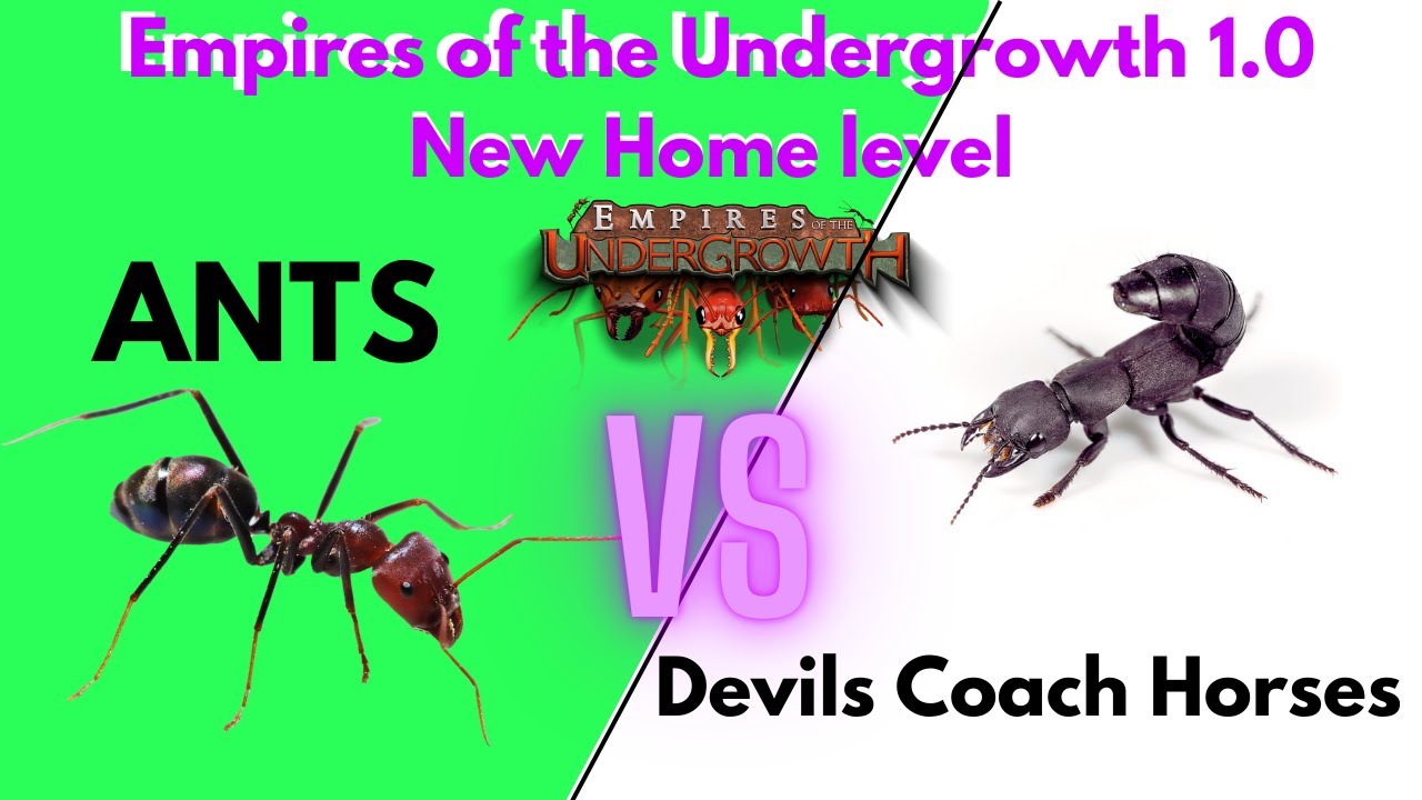 Ants vs Devils Coach Horses: Empires of the Undergrowth 1.0 New Home level - YouTube