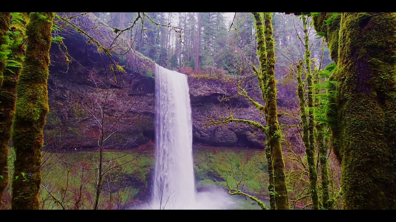 Beautiful Morning Nature Scenery Autumn Waterfall ASMR in a Colorful ...