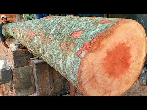 Wow,,!! terViral, kayu super panjang bikin team graji sawmill dibuat kualahan