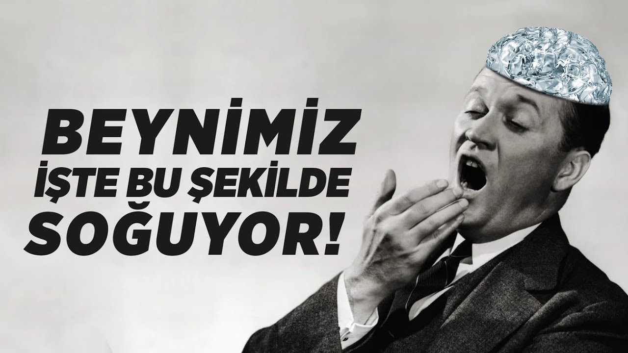 İnsan Neden Esner? - YouTube