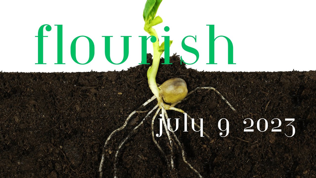 PB UMC Live Stream: July 9 2023 - Flourish - YouTube PB UMC Live Stream: July 9 2023 - Flourish - YouTube