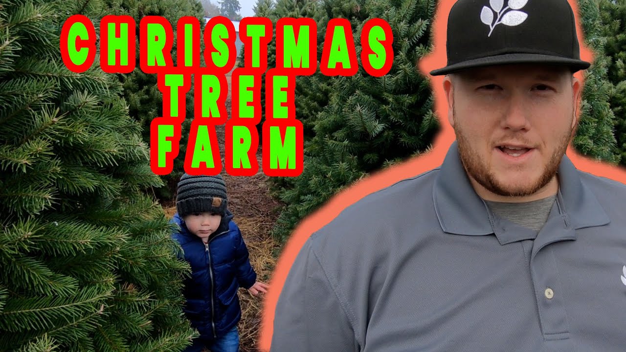 Cutting Down Christmas Trees For The Season Youtube