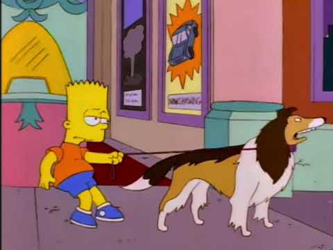 Bart Simpson Gets A New Dog, Laddie Part 4 - YouTube